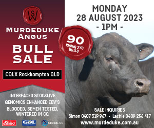 Why Angus? - Angus Australia