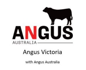 Special Awards Await Competitors at the 2026 Angus Youth National ...