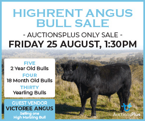 Why Angus? - Angus Australia