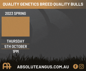 Why Angus? - Angus Australia