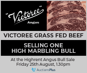 Choosing the index of relevance to you - Angus Australia