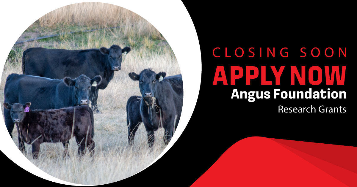 2023 Angus Foundation Research Grants - Angus Australia