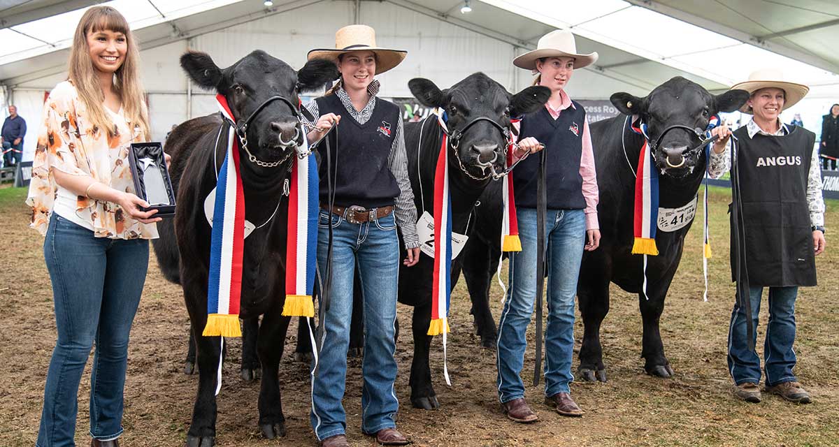 Angus clean sweep in Adelaide - Angus Australia