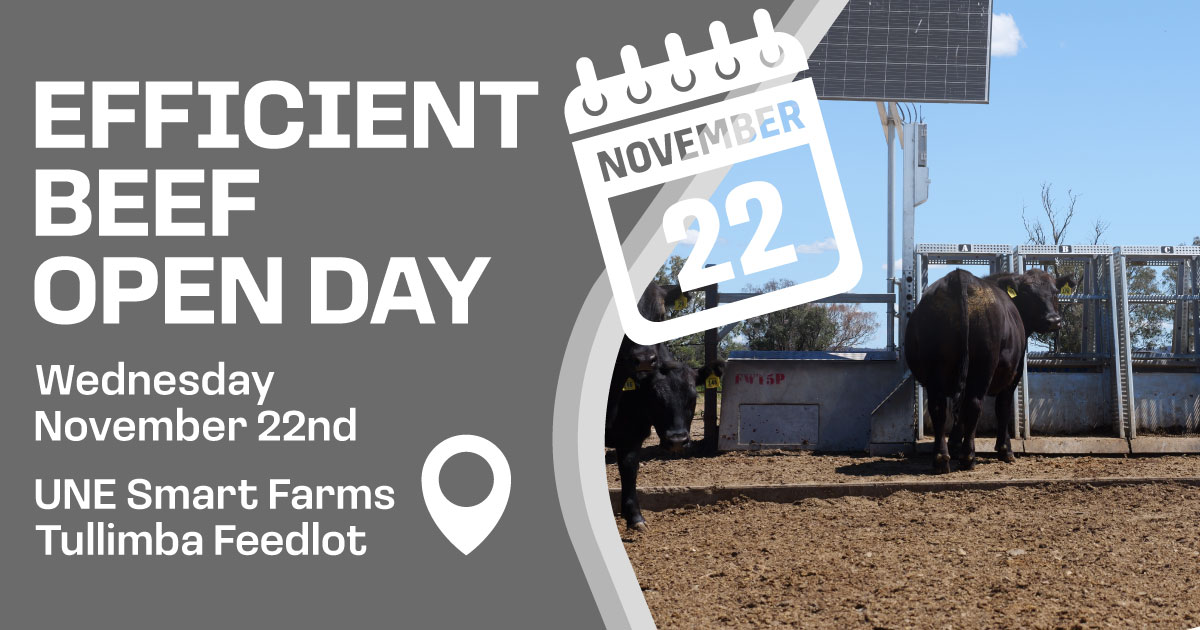 CHANGE OF VENUE - Efficient Beef Open Day - Angus Australia