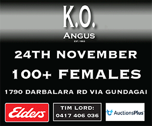 Using angus.tech software - Angus Australia