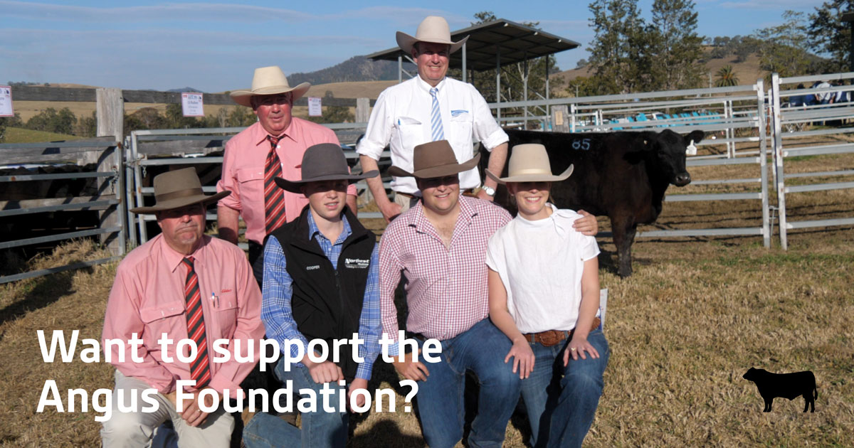 Support the Angus Foundation - Angus Australia