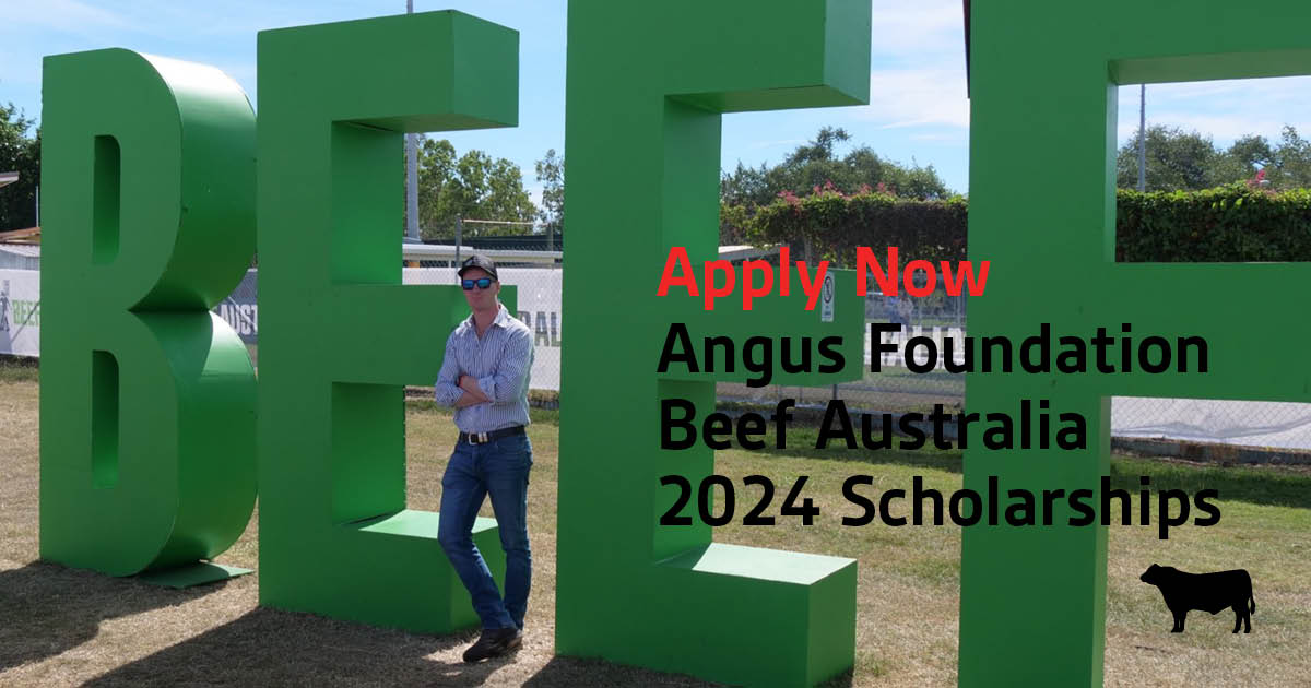 APPLY NOW: Beef Australia Scholarships - Angus Australia