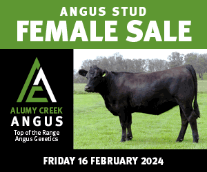 News & Events - Angus Australia