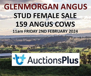 Updates to the Calf Record Forms - Angus Australia