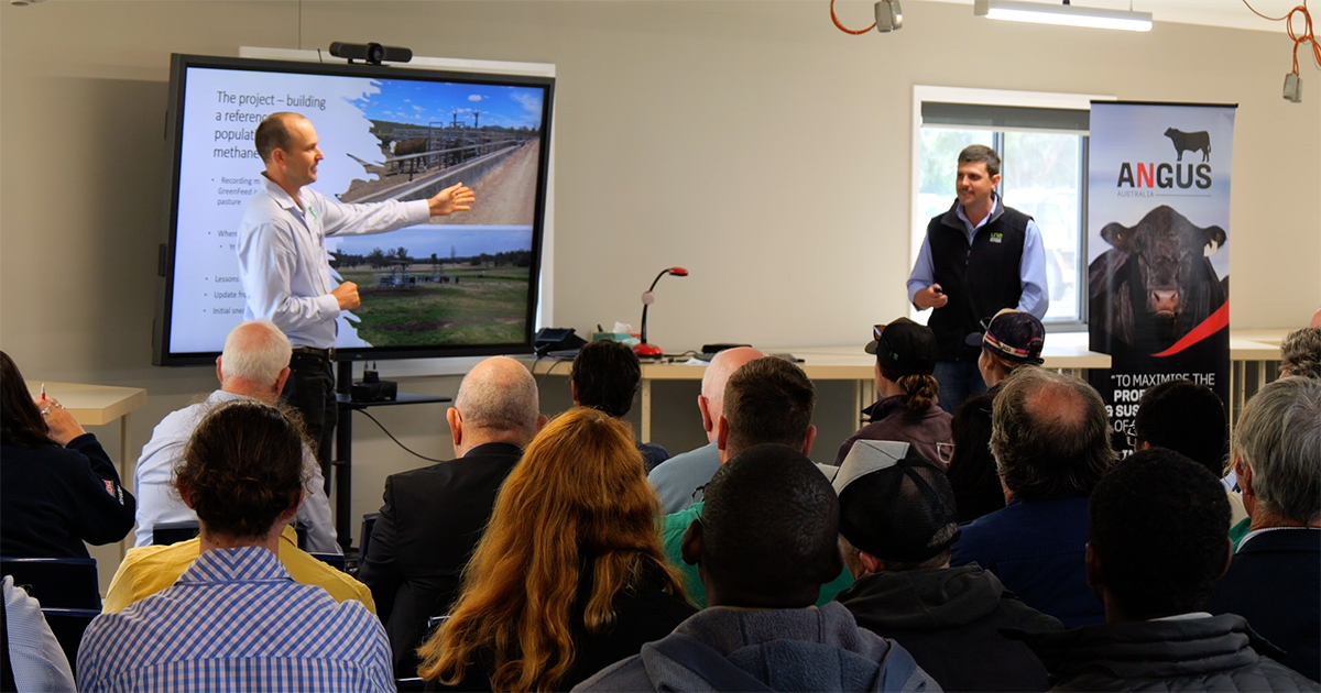 Updates aplenty at the Efficient Beef Open Day - Angus Australia