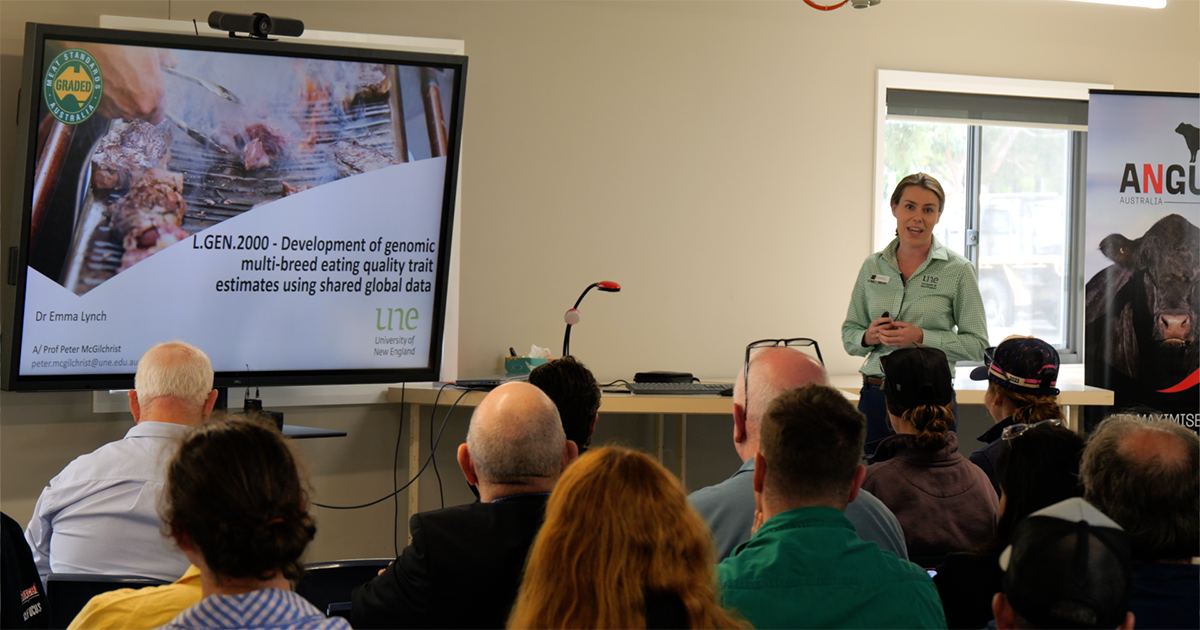 Updates aplenty at the Efficient Beef Open Day - Angus Australia