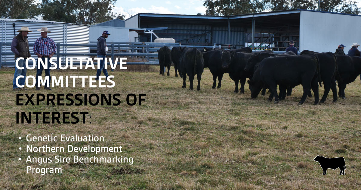 Expressions of Interest Sought - Angus Australia