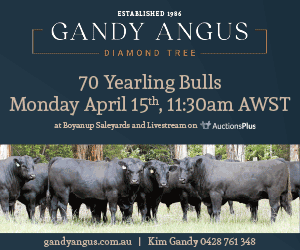 Catalogues by Angus Australia - Angus Australia