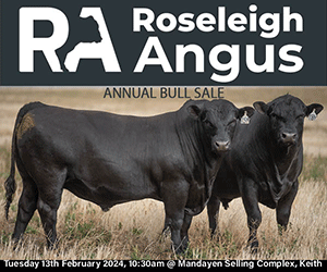 2023 Clifton Show – Angus Feature - Angus Australia