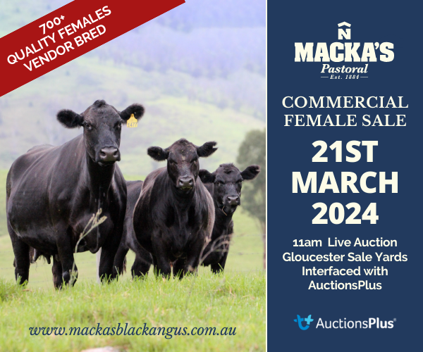 Weaning - Angus Australia