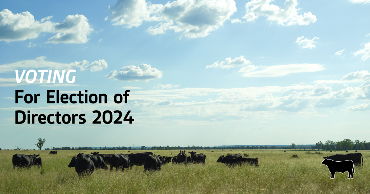 Election of Directors 2024 - Angus Australia