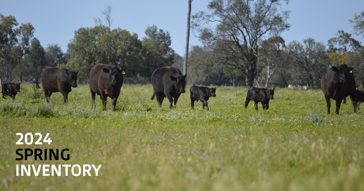 Complete your spring inventory - Angus Australia