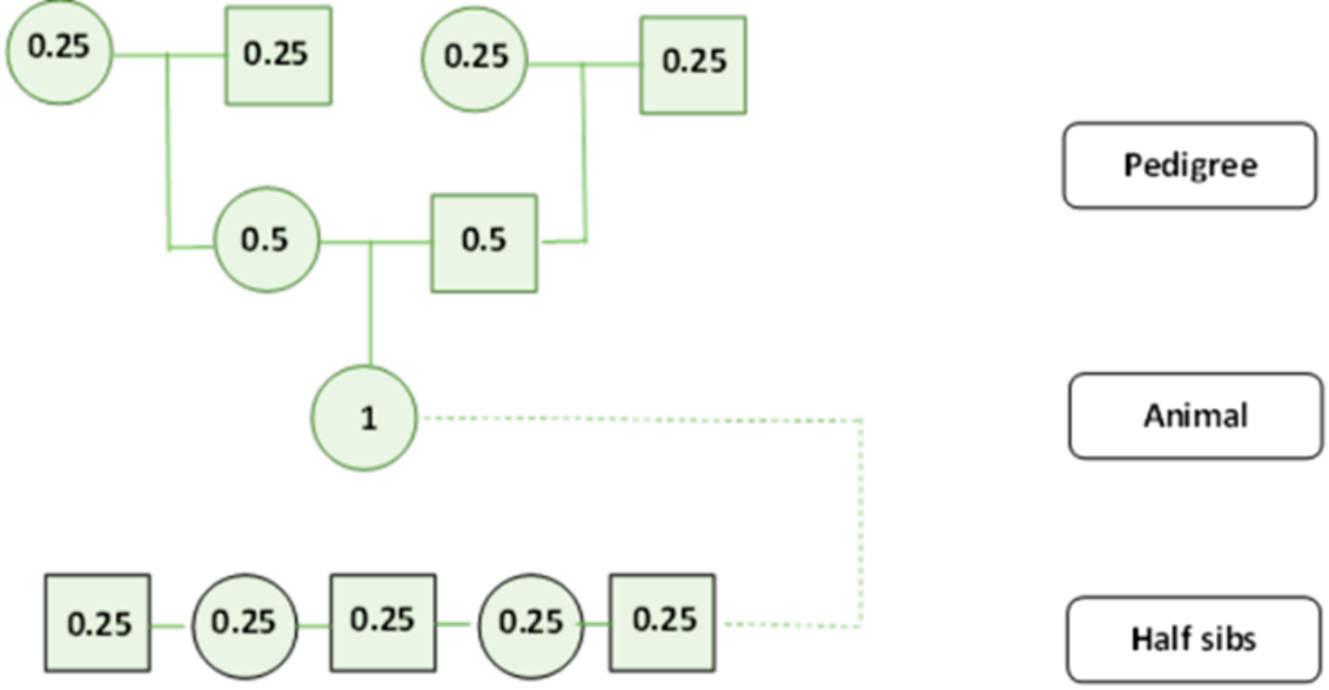 Talking Genomics - Angus Australia