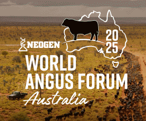 History of Angus - Angus Australia