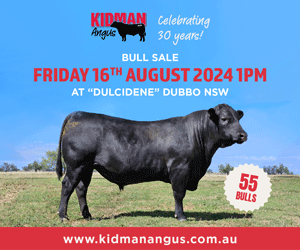 Verified Angus Beef Breed Description - Angus Australia