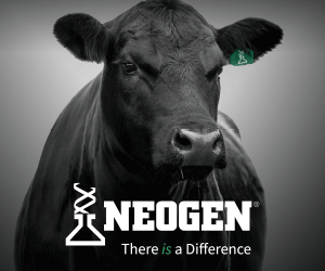 2025 World Angus Forum - Angus Australia