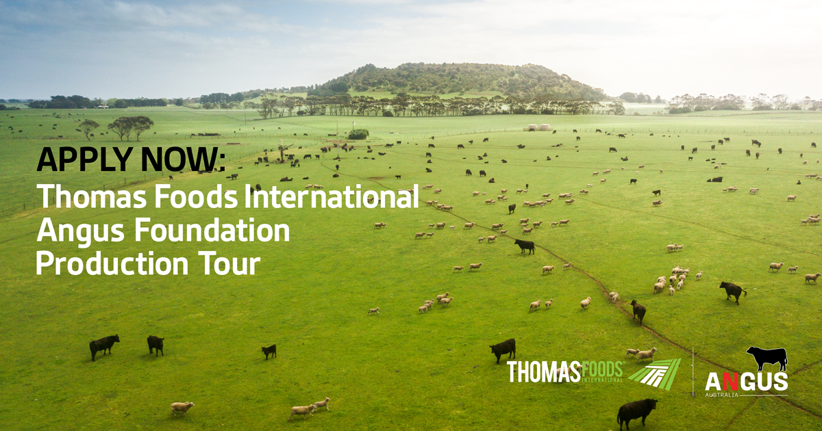 The Angus Foundation Production tour - Angus Australia