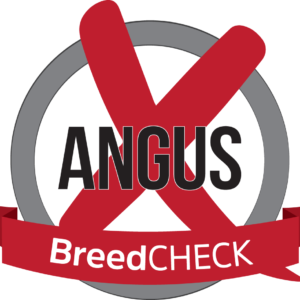 Angus BreedCHECK - Angus Australia