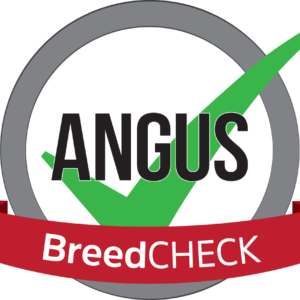 Angus BreedCHECK - Angus Australia