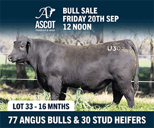 Register your teams for the World Angus Youth Competition - Angus Australia