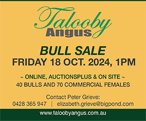 History of Angus - Angus Australia