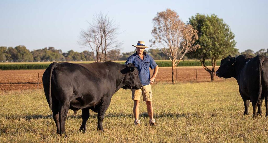 The future is bright with Angus - Angus Australia