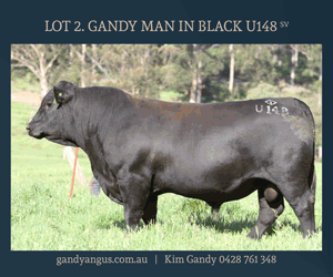 Why Angus? - Angus Australia