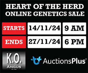 Overview - Angus Australia