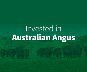 History of Angus - Angus Australia