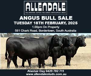 The Angus World unites in 2025 - Angus Australia