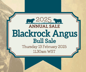 The Angus World unites in 2025 - Angus Australia