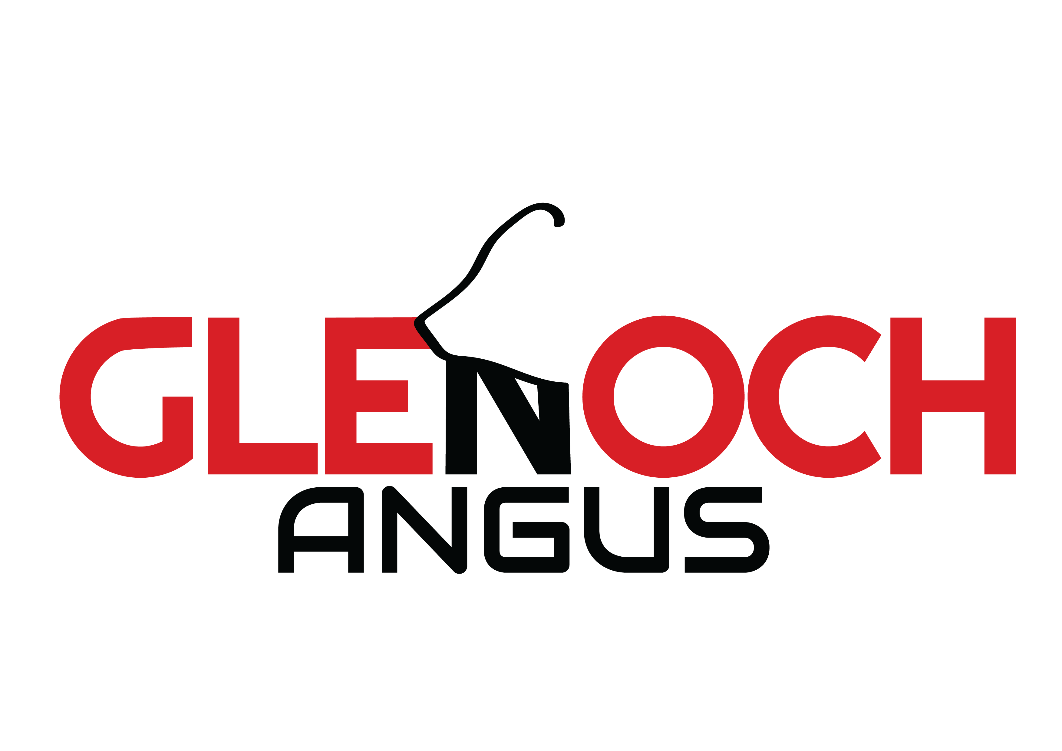 Glenoch Angus and NB Genetics Bull Sale 2025 - Angus Australia