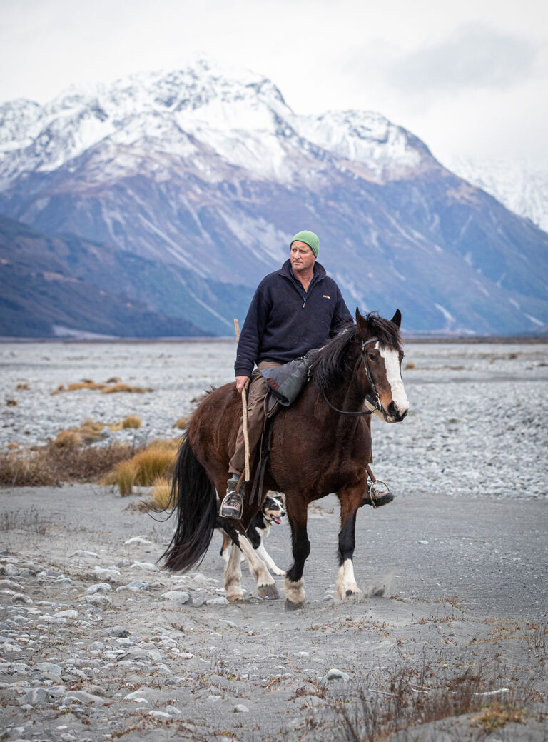 AngusPRO Front Footing NZ Beef Industry - Angus Australia
