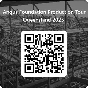 Discover the Queensland Production Tour Experience - Angus Australia