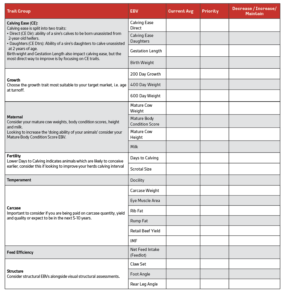 Bull Selection Your Roadmap To Herd Improvement Angus Australia